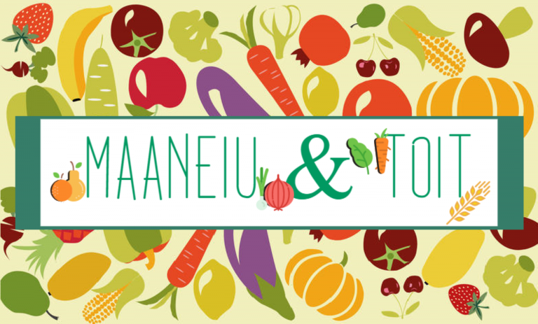 Soolatud seened – purki – Maaneiu & Toit