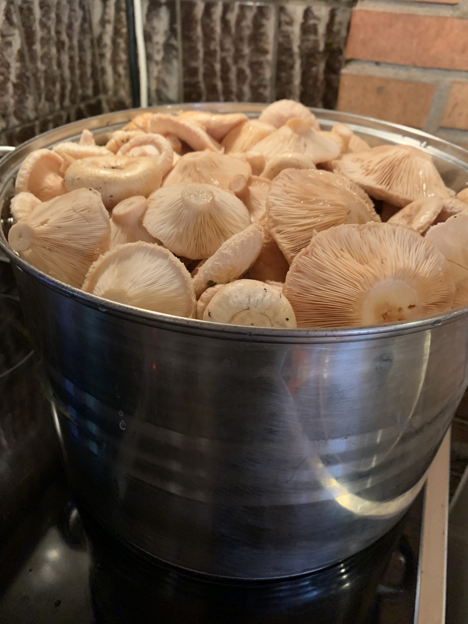 Soolatud seened – purki – Maaneiu & Toit