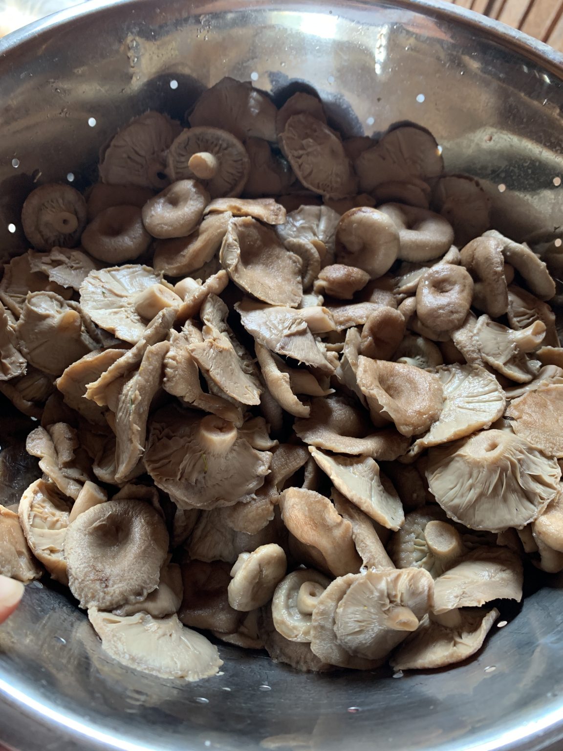 Soolatud seened – purki – Maaneiu & Toit