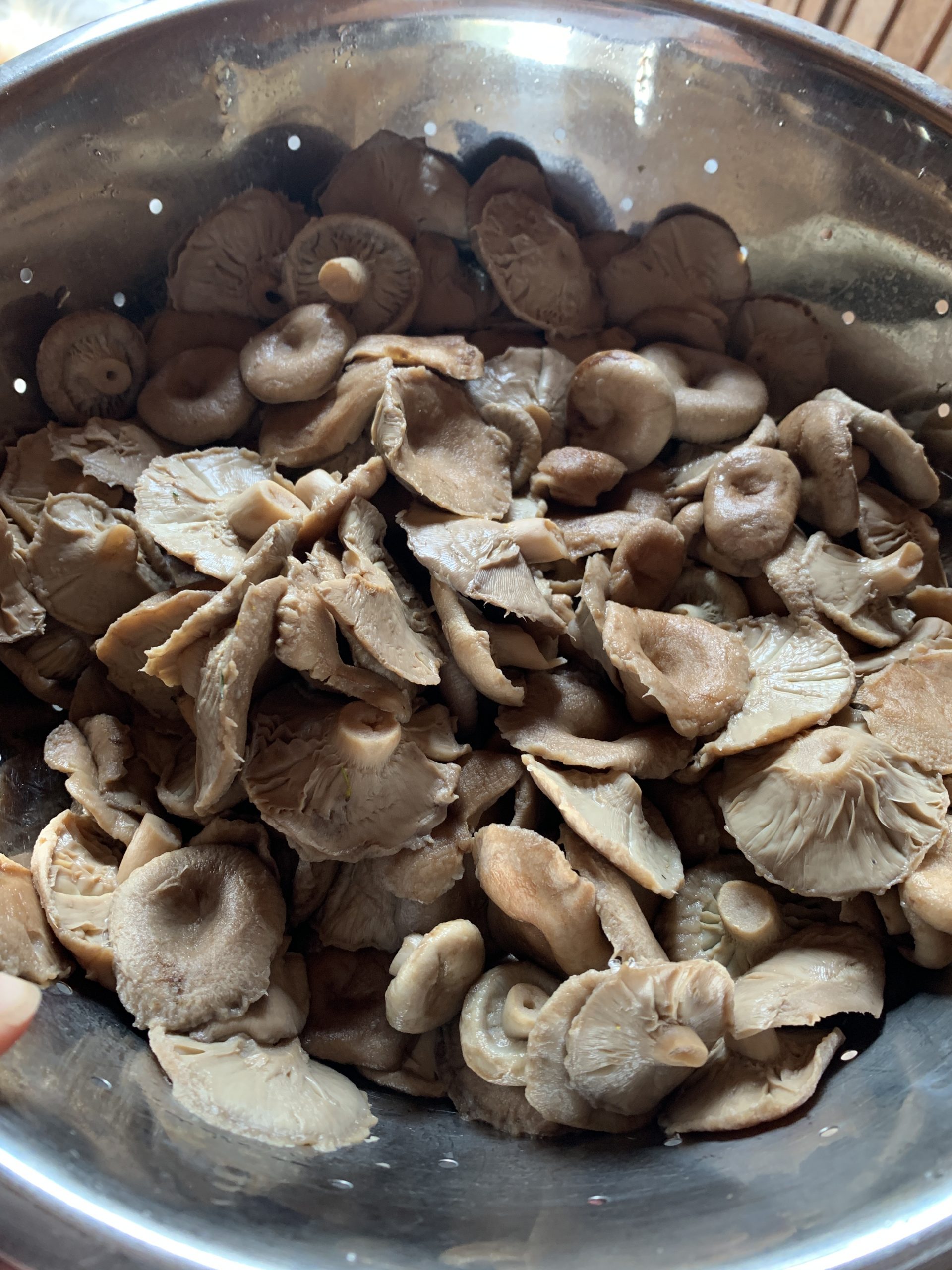 Soolatud seened – purki – Maaneiu & Toit