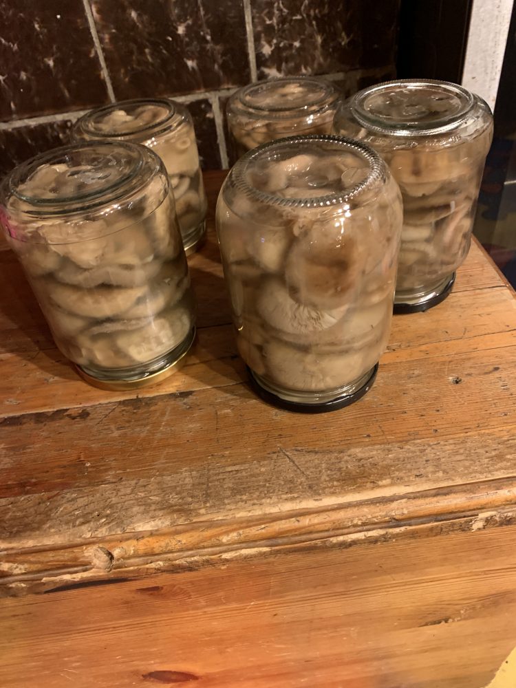 Soolatud seened – purki – Maaneiu & Toit